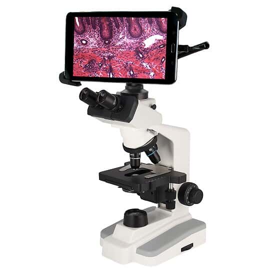 National Optical Digital Compound Microscope with 8" Tablet, Trinocular ...