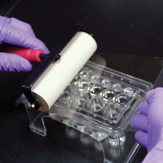 Neogen COLI9858BF Colitag™ MPNplate™ Sealing Film; 100/Pk from Cole-Parmer