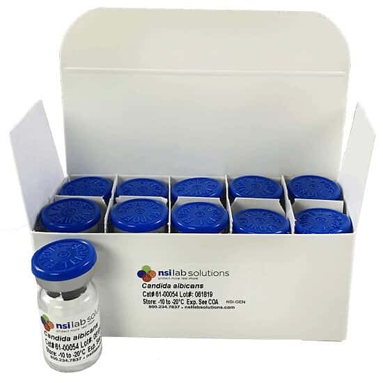 NSI Lab Solutions 61-00054 C. albicans NCPF 3179 Pharmaceutical Culture ...