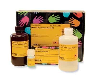 Thermo Fisher Scientific Micro BCA Protein Assay Kit from Cole-Parmer ...
