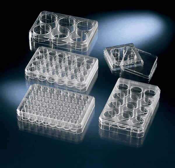 Thermo Scientific Nunc 144530 Cell Culture Multidishes, Non-Treated ...