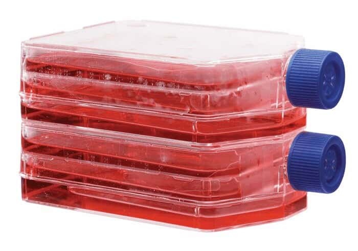 Thermo Scientific Nunc 132903 700 mL Non-treated Cell Culture Triple ...