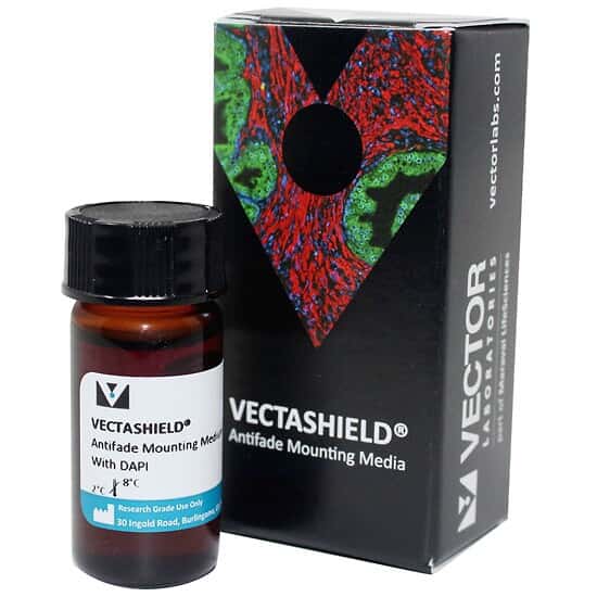 Vector Laboratories VECTASHIELD Antifade Mounting Medium with DAPI, 10 ml from Cole-Parmer
