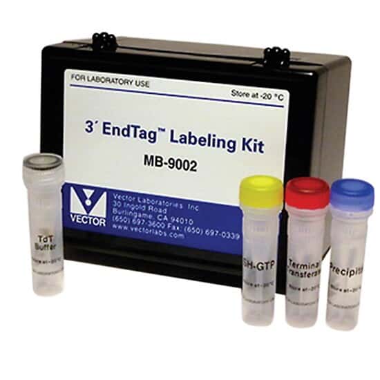 Vector Laboratories EndTag™ 3' Nucleic Acid Labeling Kit from Cole-Parmer
