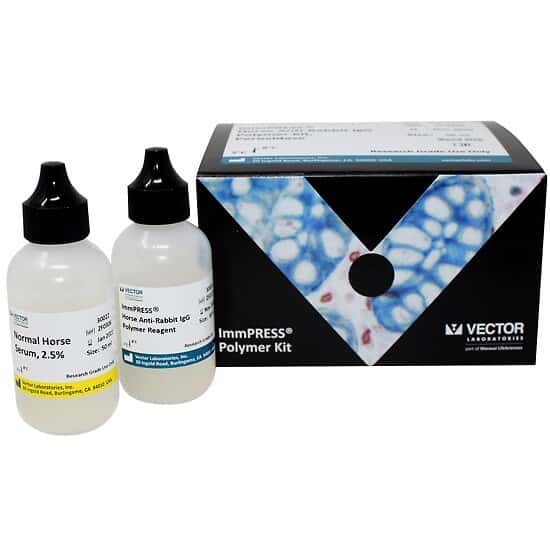 Vector Laboratories ImmPRESS HRP Anti-Rabbit IgG Reagent, made in horse ...