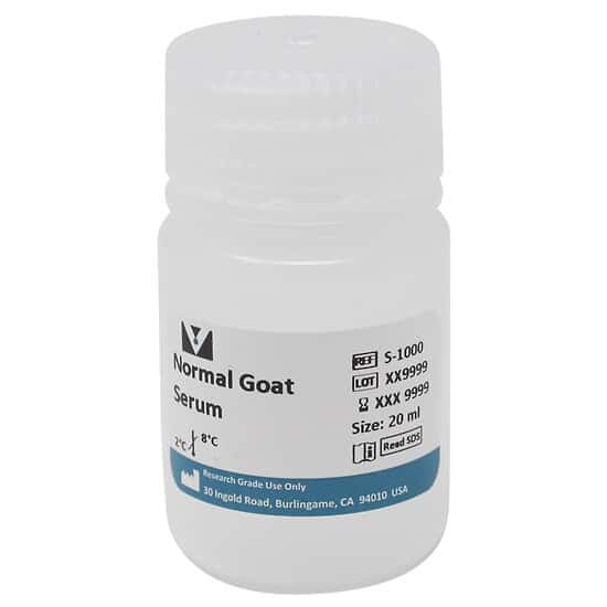 N Goat Serum