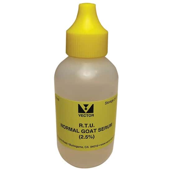 Vector Laboratories S-1012-50 Normal Goat Serum, 2.5% solution (v/v ...