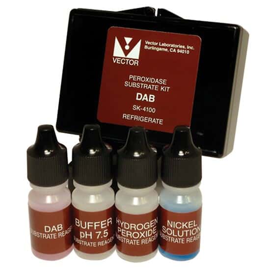 Vector Laboratories SK-4100 DAB Substrate Kit, Brown, 300 ml from Cole ...