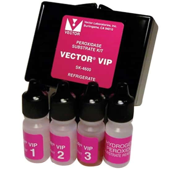Vector Laboratories SK-4600 VIP Substrate Kit, Purple, 300 ml from Cole ...