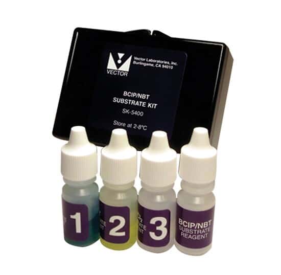 Vector Laboratories SK-5400 BCIP/NBT Substrate Kit, Indigo, 200 ml from ...