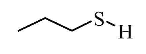 1-Propanethiol - Cole-Parmer