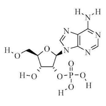 Adenosine-2'(3')-monophosphoric acid (mixed isomers) - Cole-Parmer
