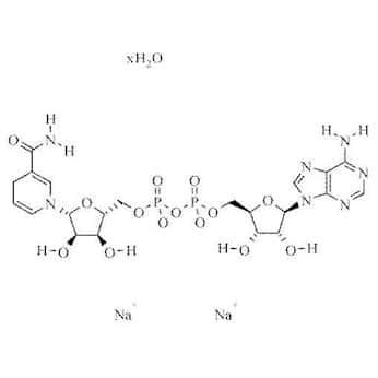 β-Nicotinamide adenine dinucleotide, disodium salt, hydrate - Cole-Parmer
