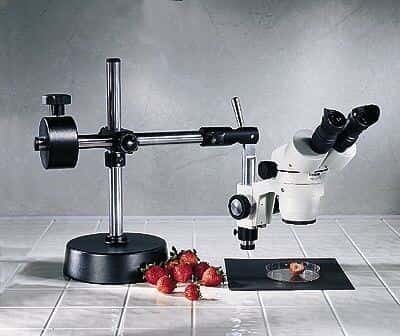 Cole-Parmer Binocular Stereozoom Microscopes - Cole-Parmer