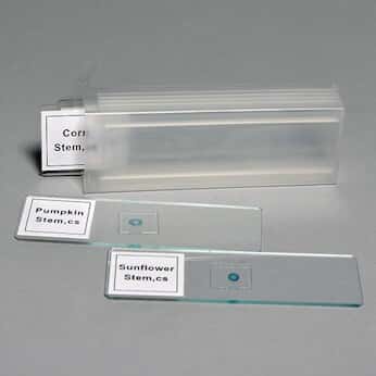 Cole-Parmer® Prepared Microscope Slide Sets from Cole-Parmer