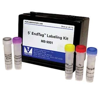 Vector Laboratories EndTag™ DNA Labeling Systems - Cole-Parmer