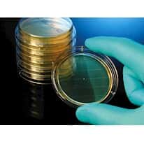 Culture Media from Cole-Parmer