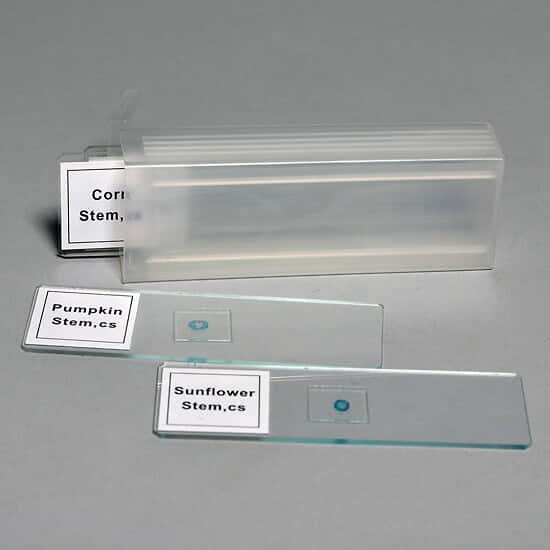 Cole Parmer® Essentials Prepared Microscope Slide Sets From Cole Parmer