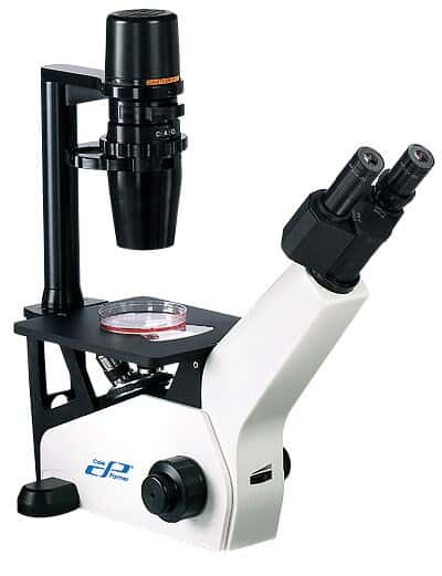 Cole-Parmer Inverted Microscope - Cole-Parmer