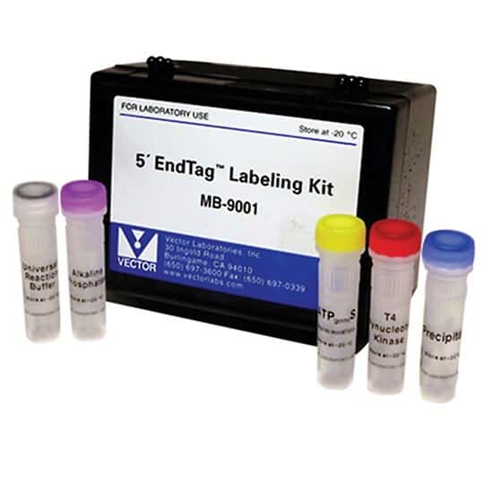 5′ Endtag, End Labeling Kit : 5′ EndTag[TM] DNA/RNA Labeling Kit – OSBZDI