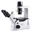 Motic® AE2000 Inverted Microscopes from Cole-Parmer